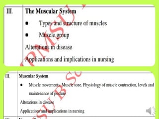 Muscular System.pdf