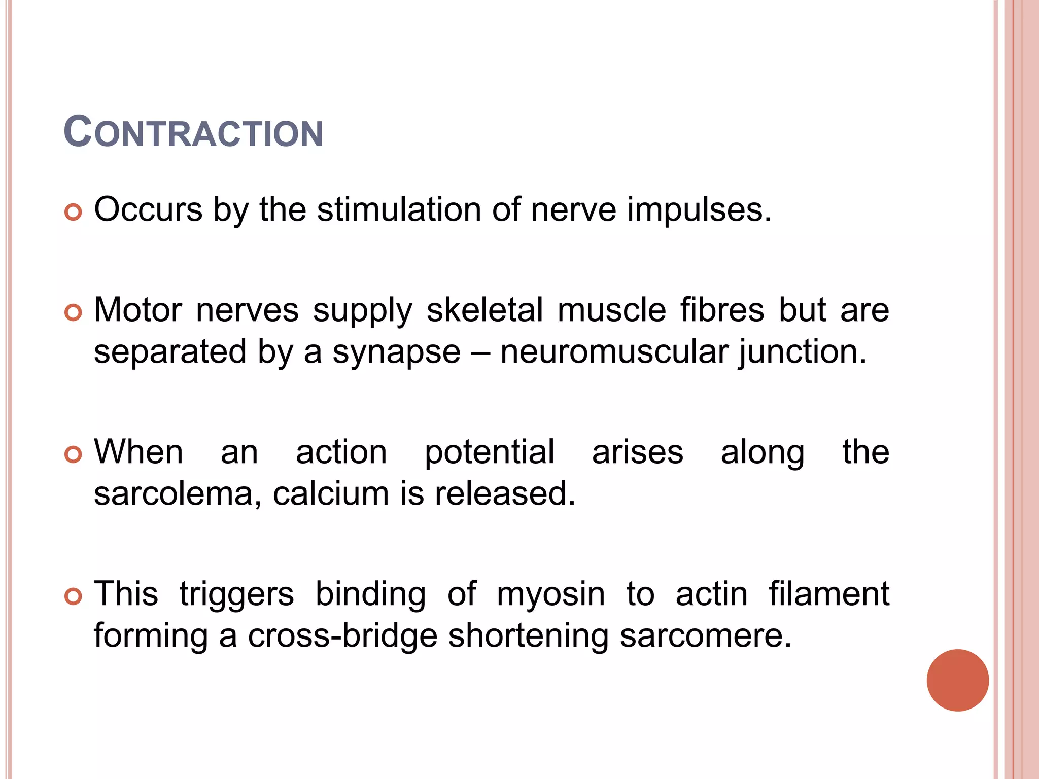 Muscular system.pptx