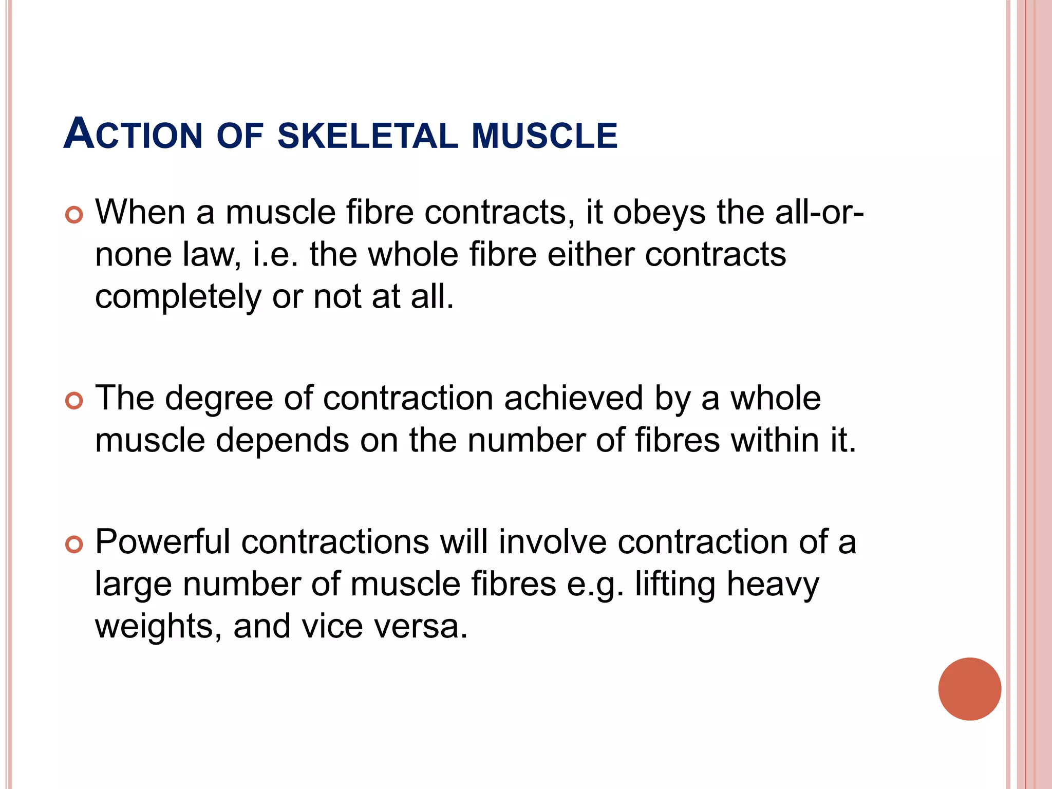 Muscular system.pptx