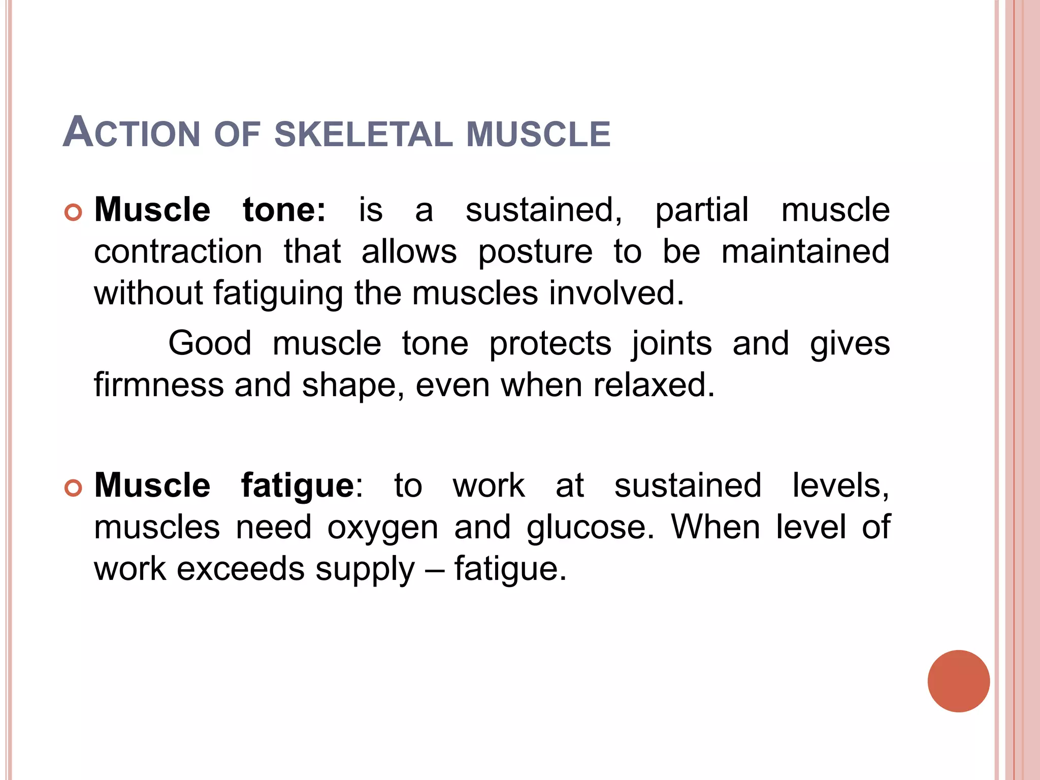 Muscular system.pptx