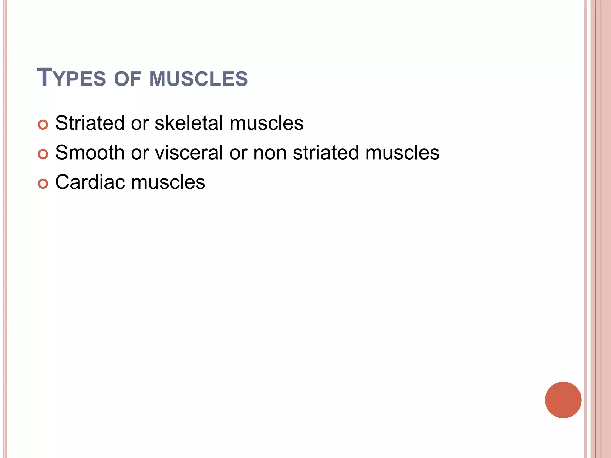 Muscular system.pptx