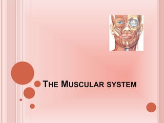 Muscular system.pptx