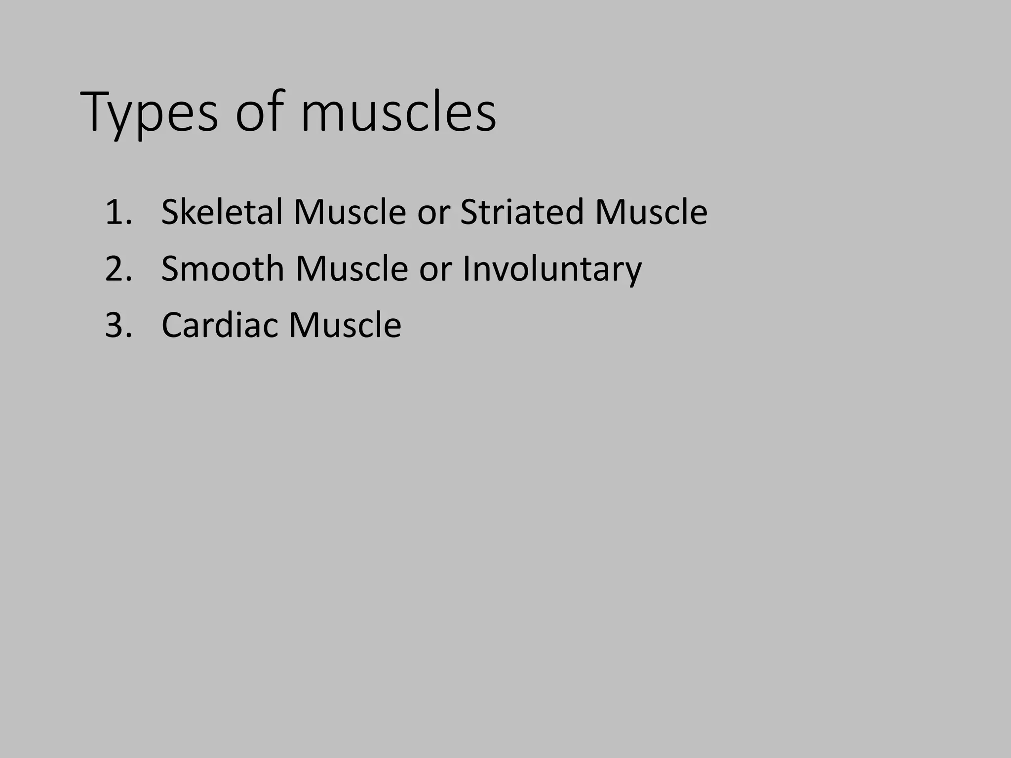 MUSCULAR SYSTEM.pptx