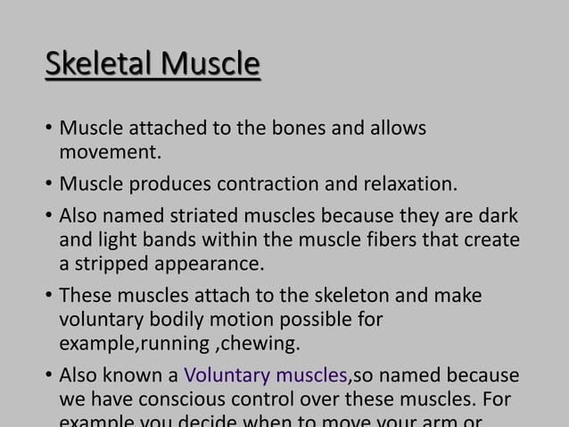 MUSCULAR SYSTEM.pptx