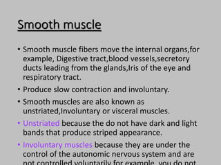 MUSCULAR SYSTEM.pptx