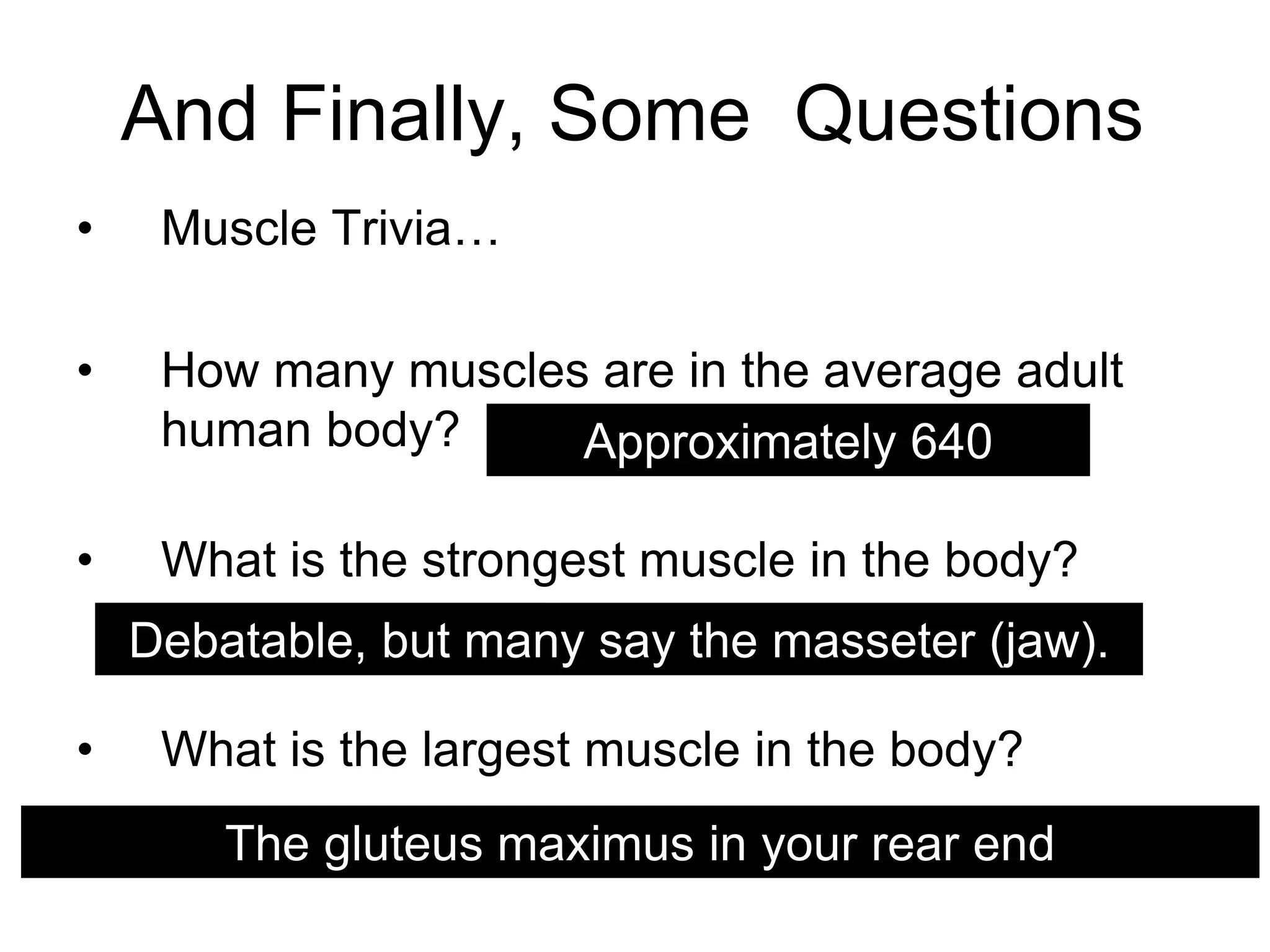 Muscular System............ Anatomy ang Physiology | PDF