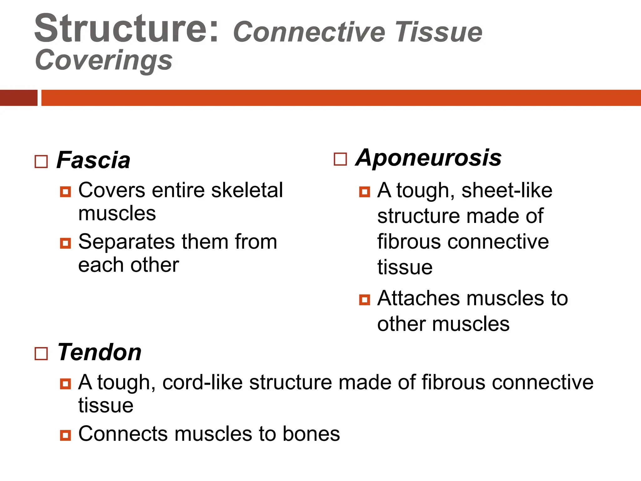 muscular system.ppt BSN YEAR 1 SEMESTER1 | PPT