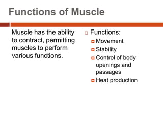 muscular system.ppt BSN YEAR 1 SEMESTER1 | PPT