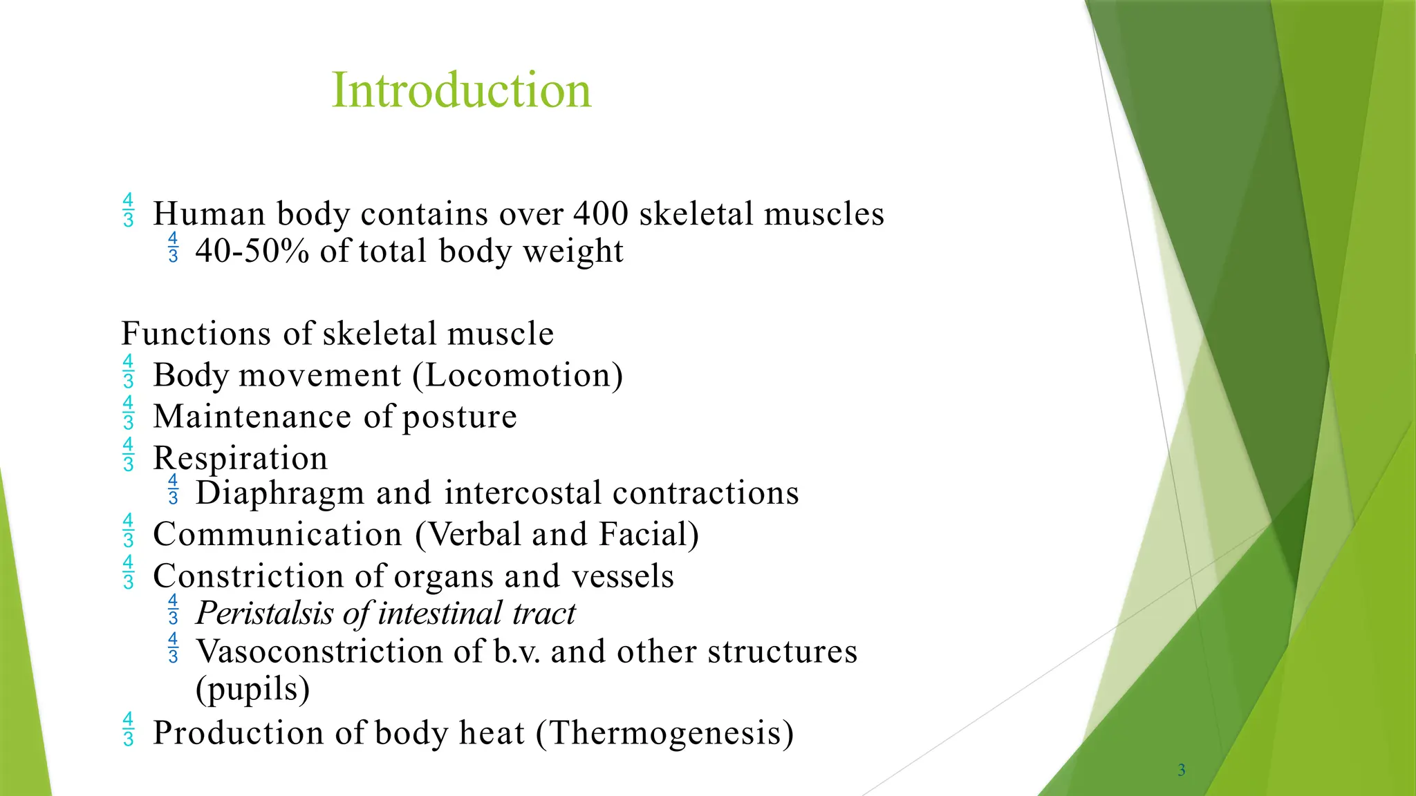 MUSCULAR SYSTEM.pptx, Human anatomy & physiology | PPT