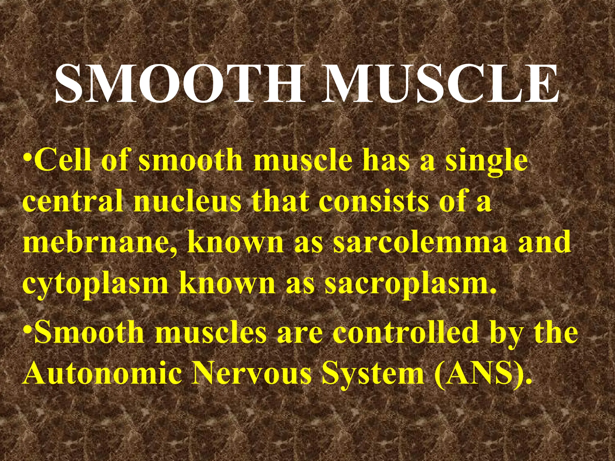 muscular system .ppt