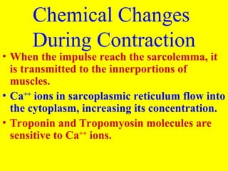 muscular system .ppt