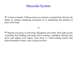 different aspect of Muscular System.pptx