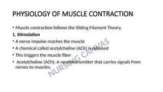 Anatomy & Physiology of MUSCULAR SYSTEM.pptx