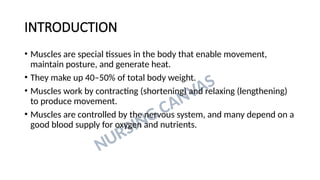 Anatomy & Physiology of MUSCULAR SYSTEM.pptx