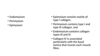 Anatomy of human Muscular system.pptx