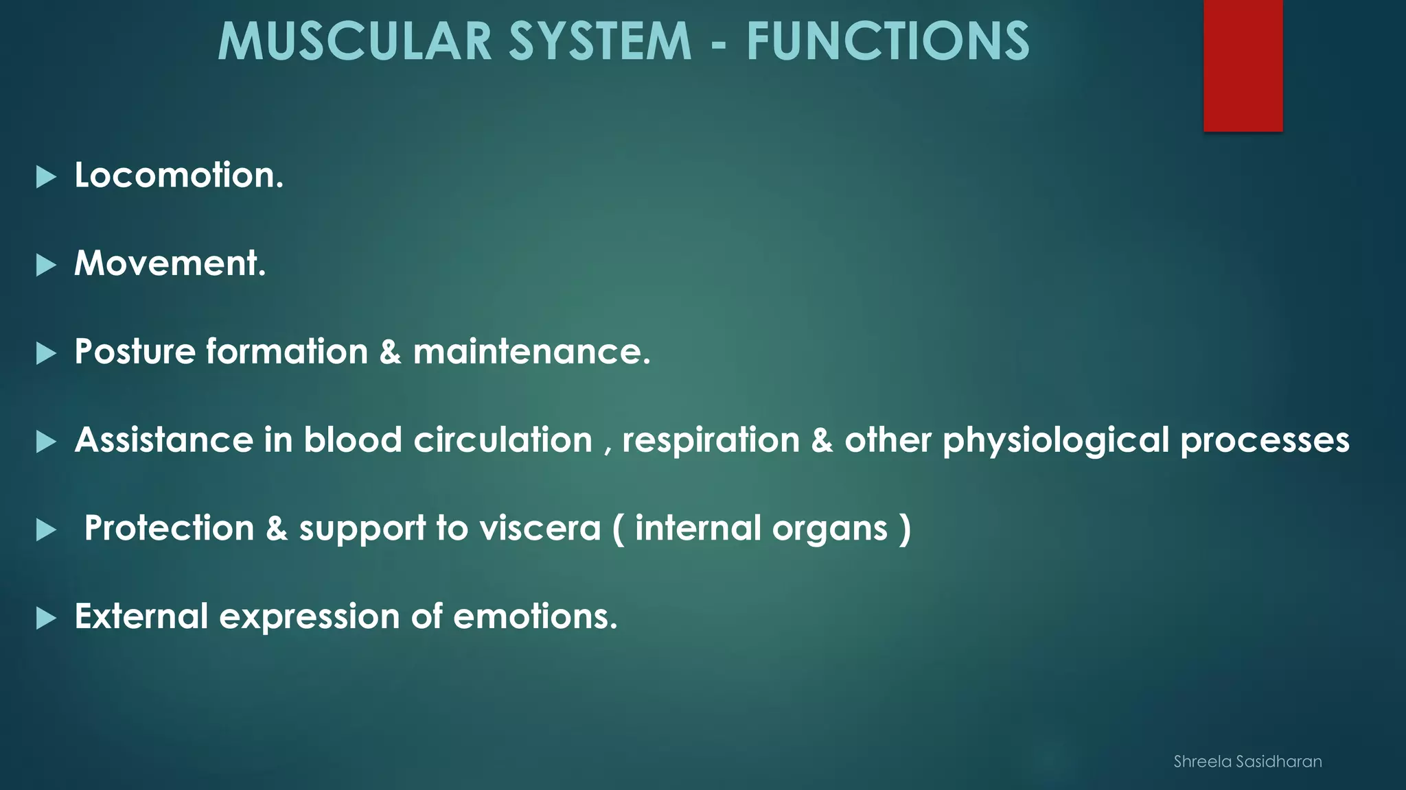 Muscular system Anatomy n Physiology | PPT