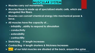 Muscular system Anatomy n Physiology | PPT