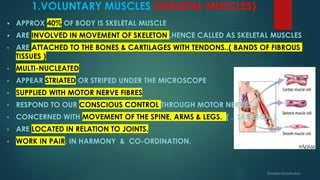 Muscular system Anatomy n Physiology | PDF