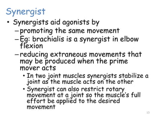 Muscular system class at addis ababa cba | PPT