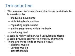 Muscular system class at addis ababa cba | PPT