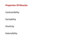 Muscular system | PPTX