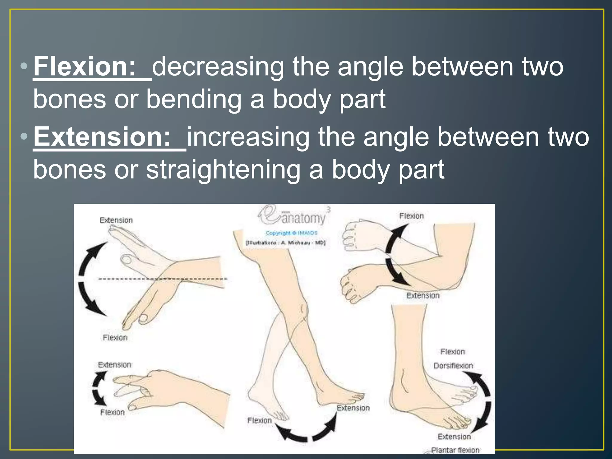 MUSCULAR SYSTEM AND FUNCTIONS P5.pptx