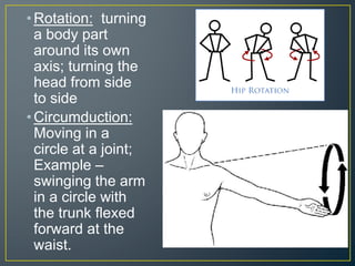 MUSCULAR SYSTEM AND FUNCTIONS P5.pptx