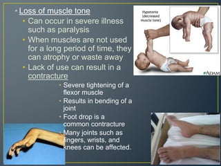 MUSCULAR SYSTEM AND FUNCTIONS P5.pptx