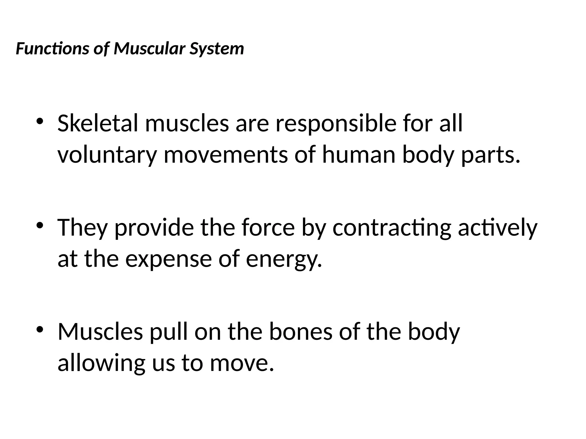 Muscular System and LAB powerpoint with lab | PPTX