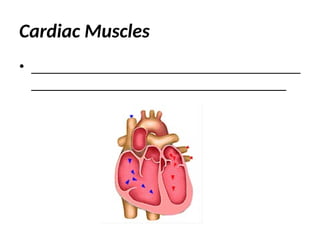 Muscular System and LAB powerpoint with lab | PPTX