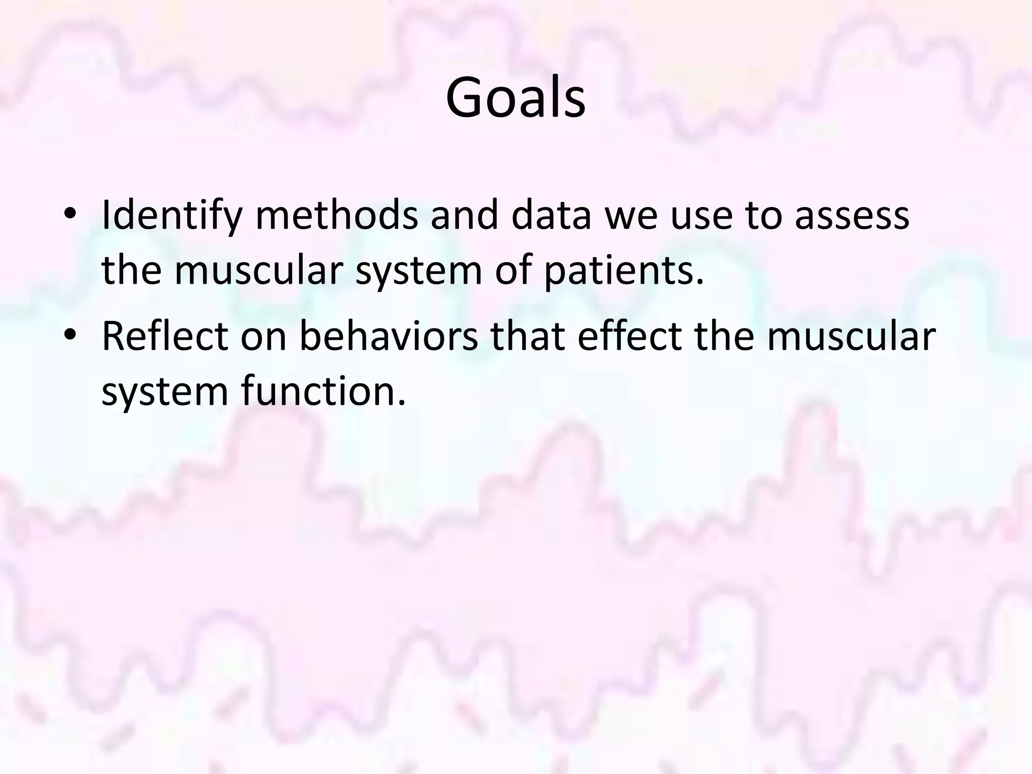Muscular System Assessment | PPTX | Physical Therapy | Wellness