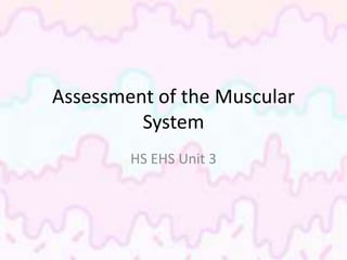 Muscular System Assessment | PPTX | Physical Therapy | Wellness