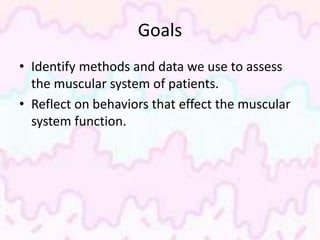 Muscular System Assessment | PPTX