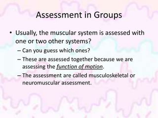 Muscular System Assessment | PPTX | Physical Therapy | Wellness