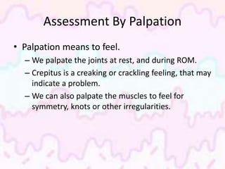 Muscular System Assessment | PPTX | Physical Therapy | Wellness