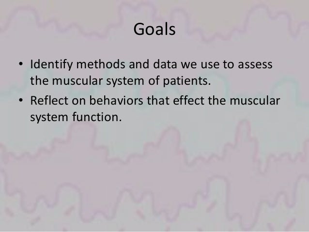 Muscular System Assessment