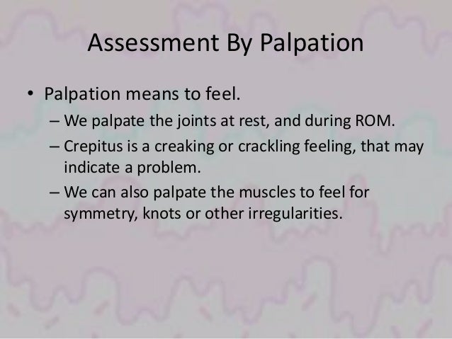 Muscular System Assessment