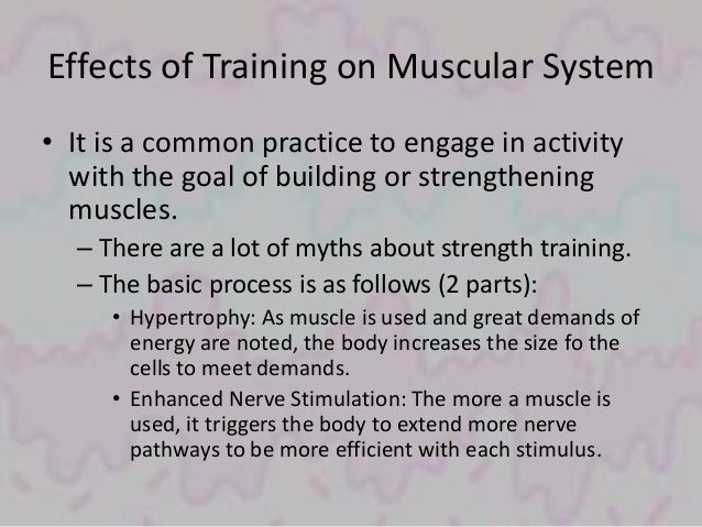 Muscular System Assessment