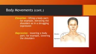 Muscular system(final report) | PPTX