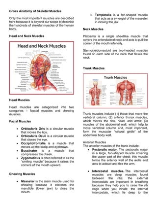The anatomy and Physiology of the Muscular System .pdf