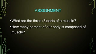 Muscular system(idsn) | PPT
