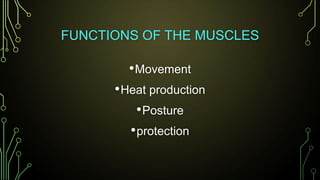 Muscular system(idsn) | PPT