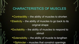 Muscular system(idsn) | PPT