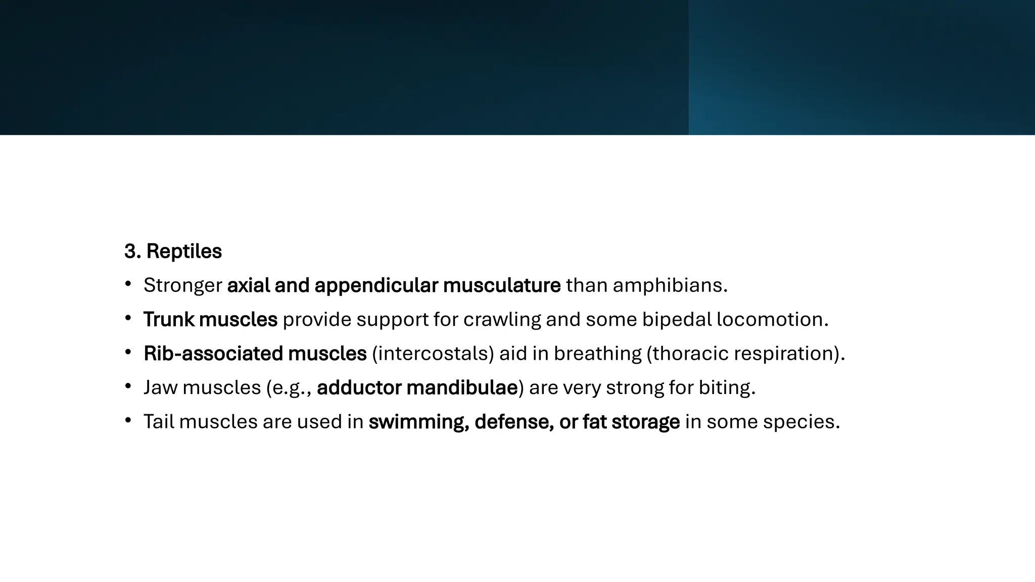 Muscular System in Vertebrates (Comparative) .pptx