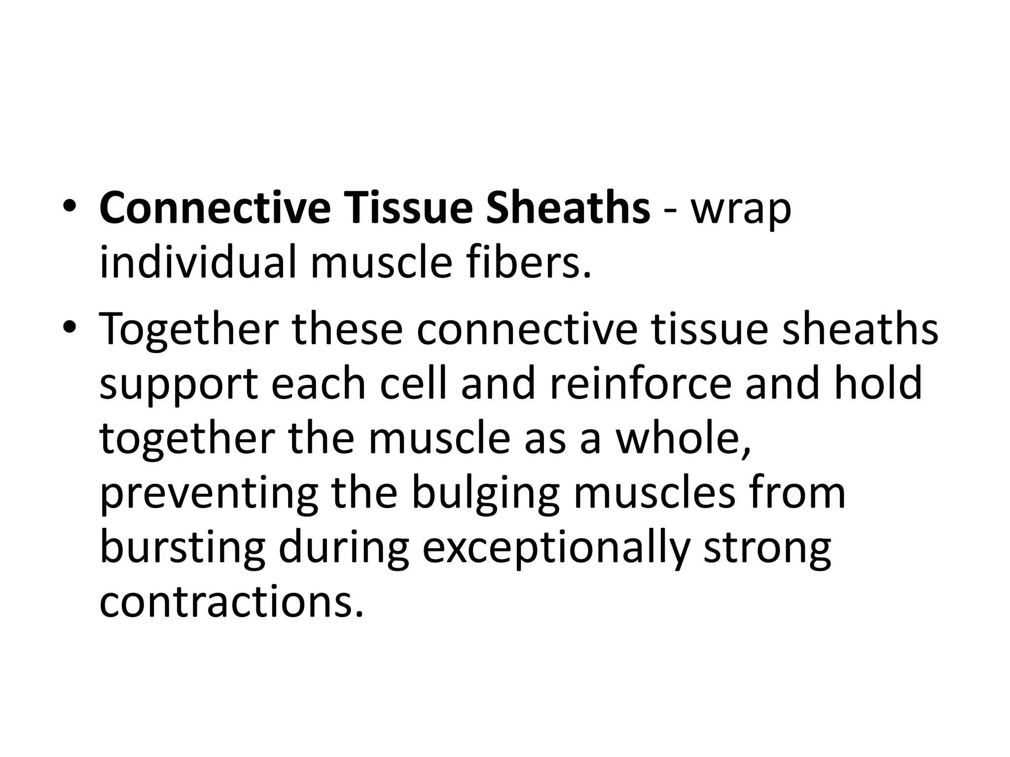 Muscular system of vertebrates | PPTX