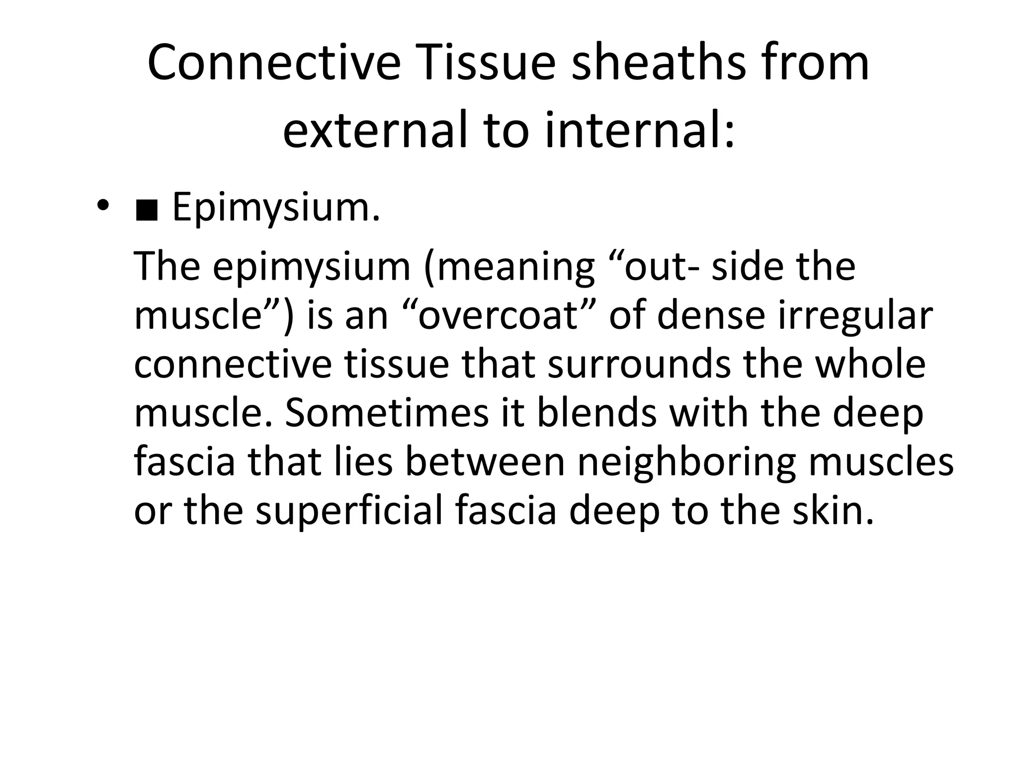 Muscular system of vertebrates | PPTX