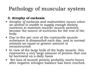 muscular system pathology lecture.pptx