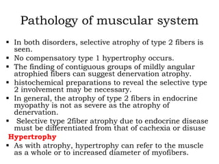 muscular system pathology lecture.pptx