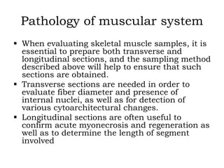 muscular system pathology lecture.pptx