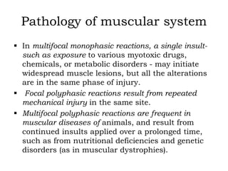 muscular system pathology lecture.pptx